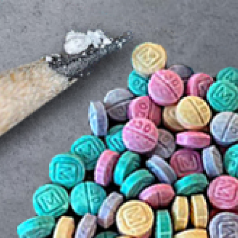 Fact or Fiction? Take the Drug Quiz! | Campus Drug Prevention
